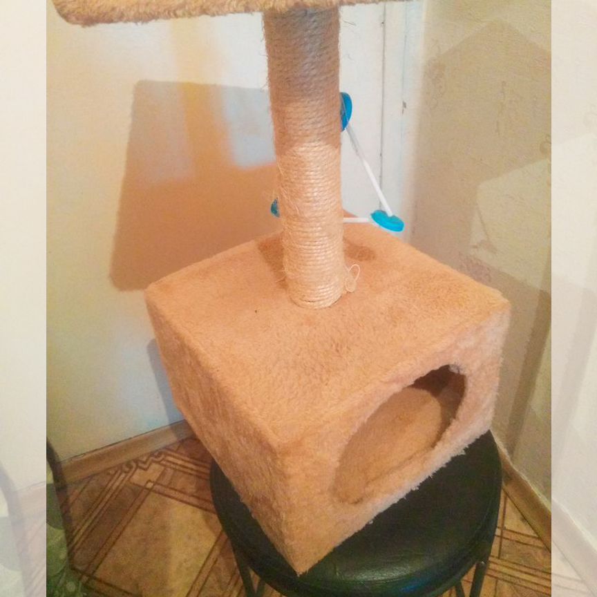 Кошкин домик