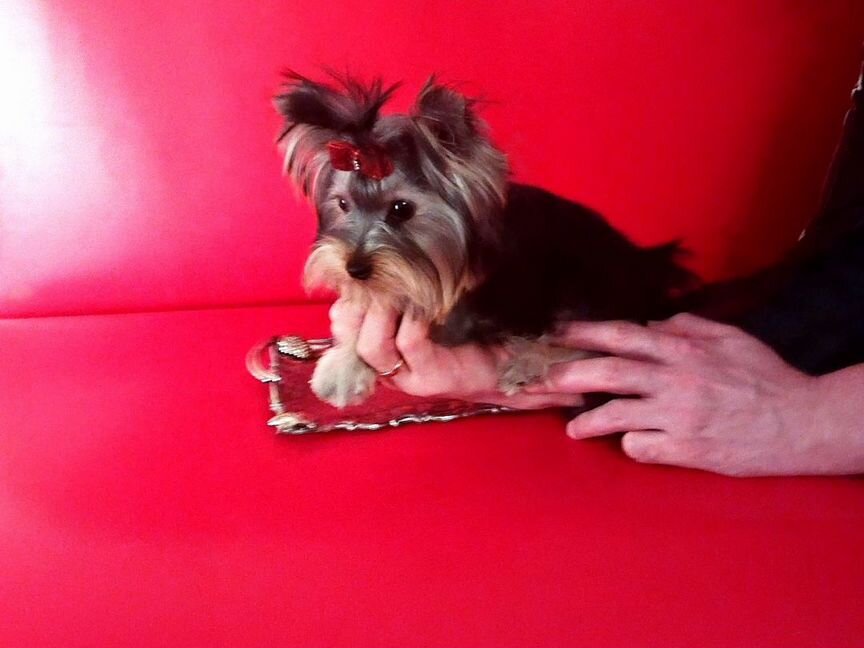 Микро. малыш. РКФ