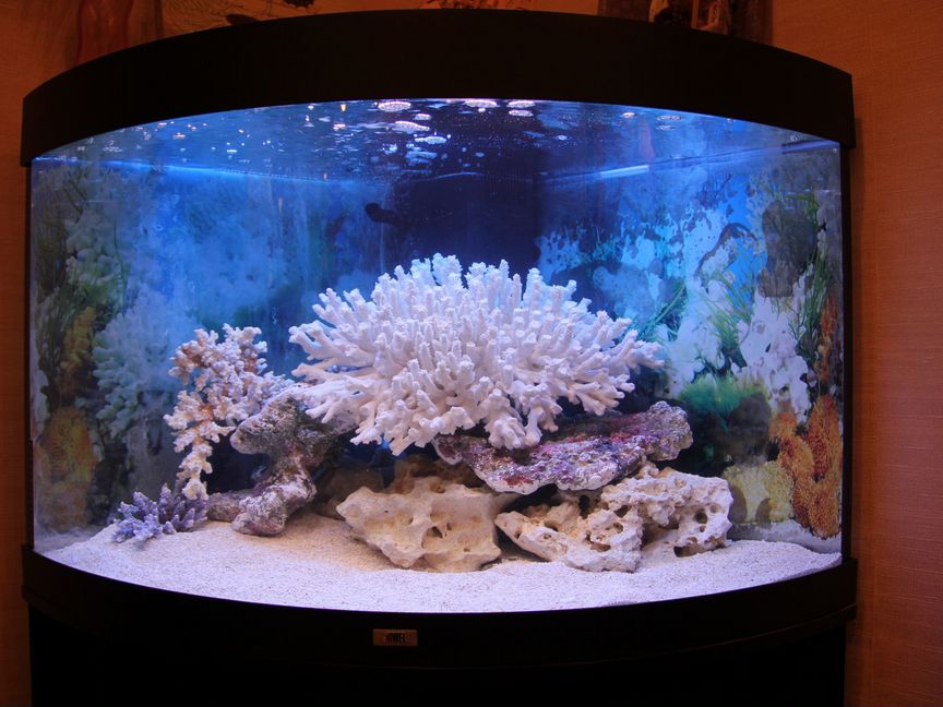 Аквариум Juwel Trigon 190 (угловой)