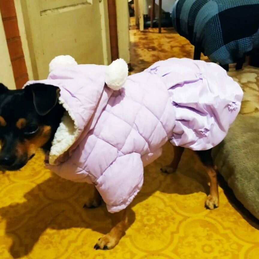 Куртка платье для мелких собак