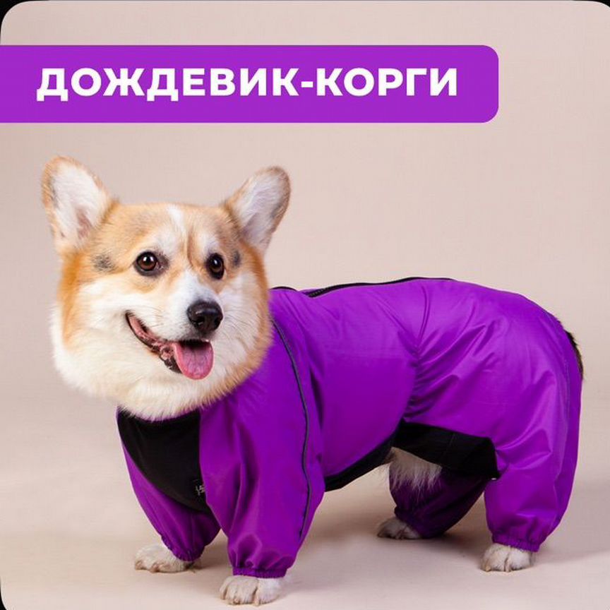 Дождевик для корги мальчик