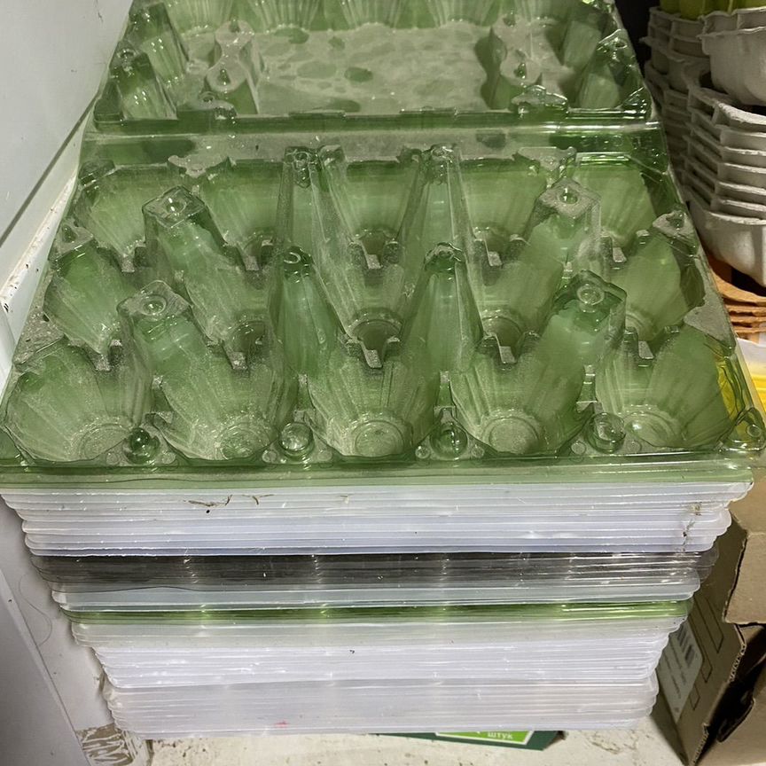 Картонные ячейки для яиц