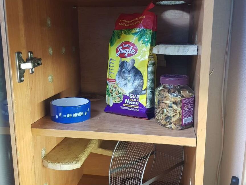 Витрина для шиншилл мышек