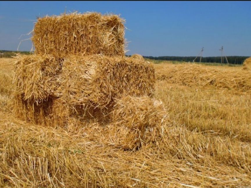 Солома в тюках с доставкой