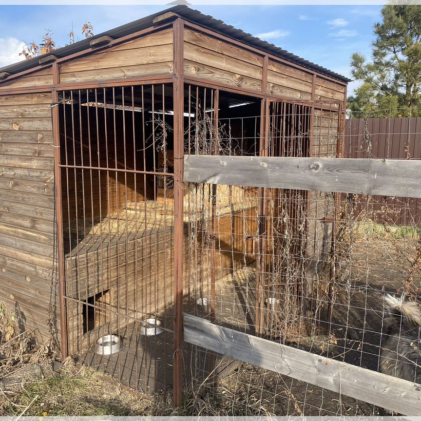 Вольер для собак уличный
