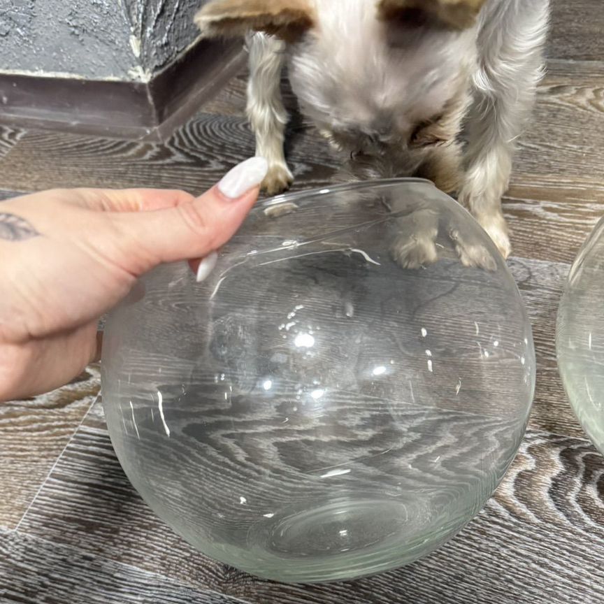 Аквариум круглый