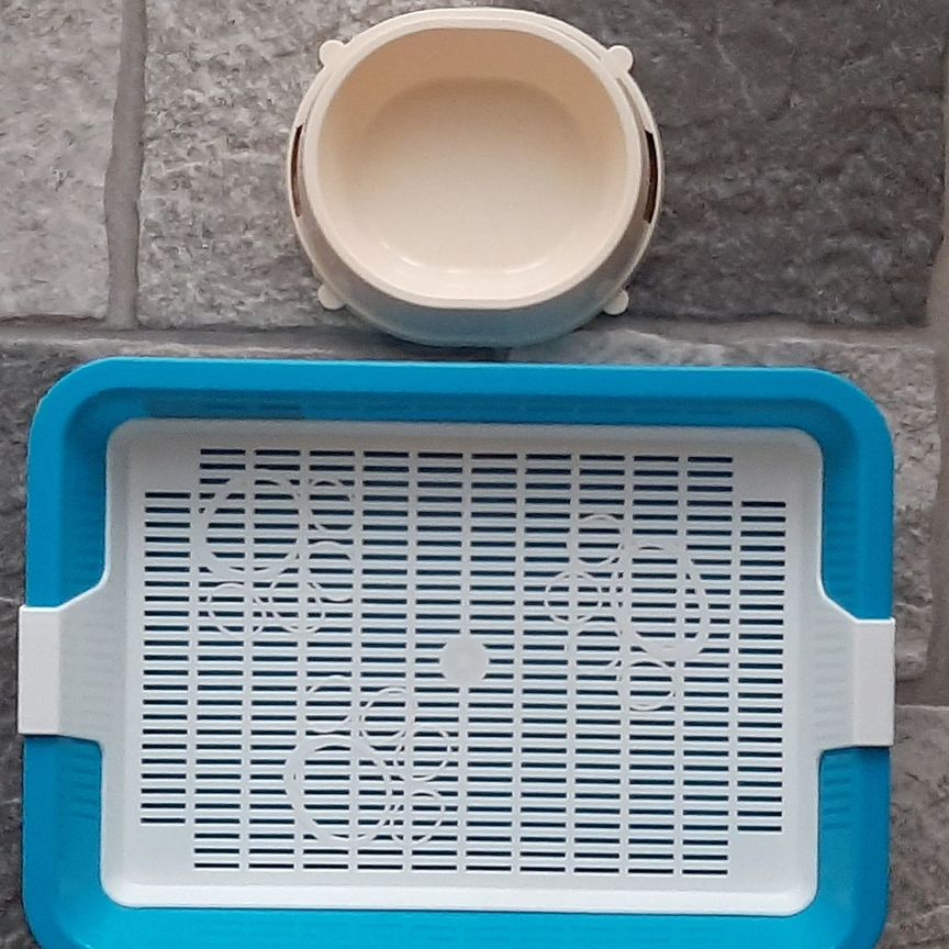 Лоток для котят