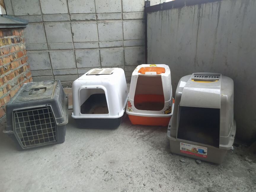 Туалет домик для кошек, переноски