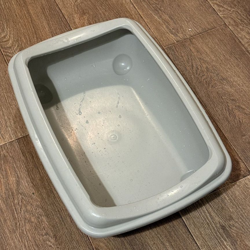 Лоток для коти