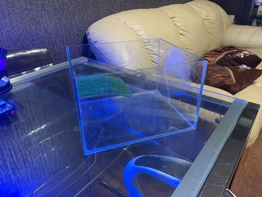 Аквариум террариум