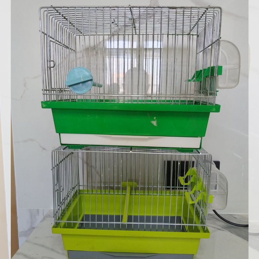 Клетка