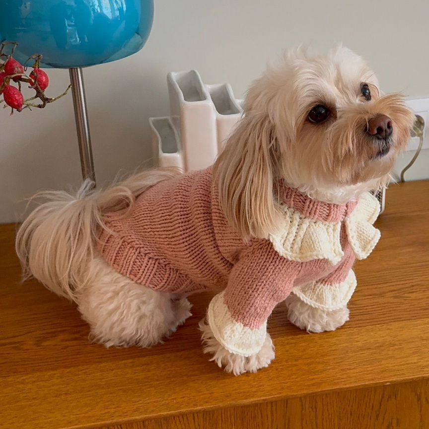 Свитер для собак на заказ