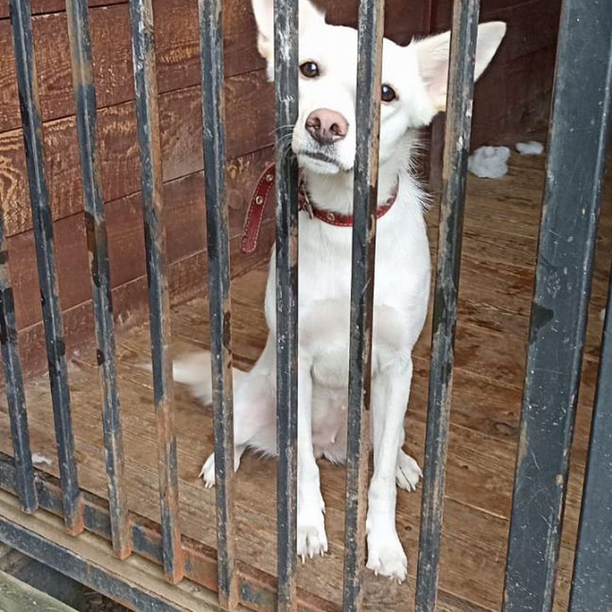 Девочке нужна семья