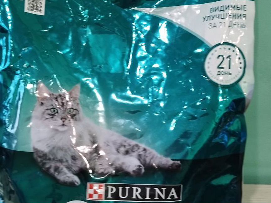 Кошачий сухой корм