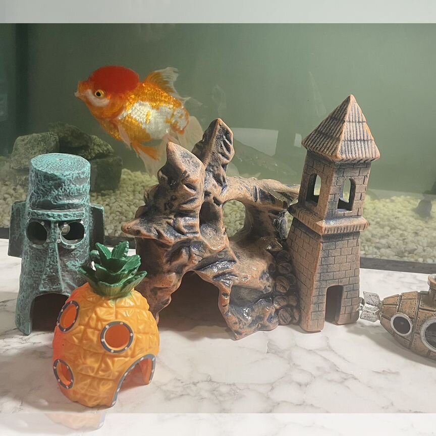 Аквариумные рыбки