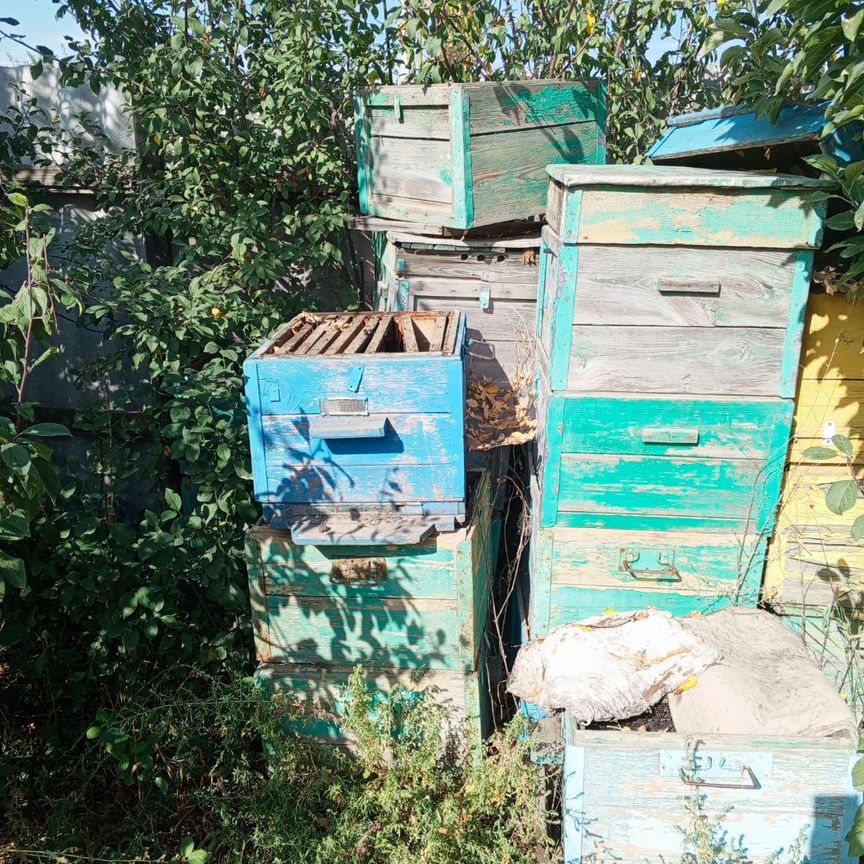 Домики для пчел