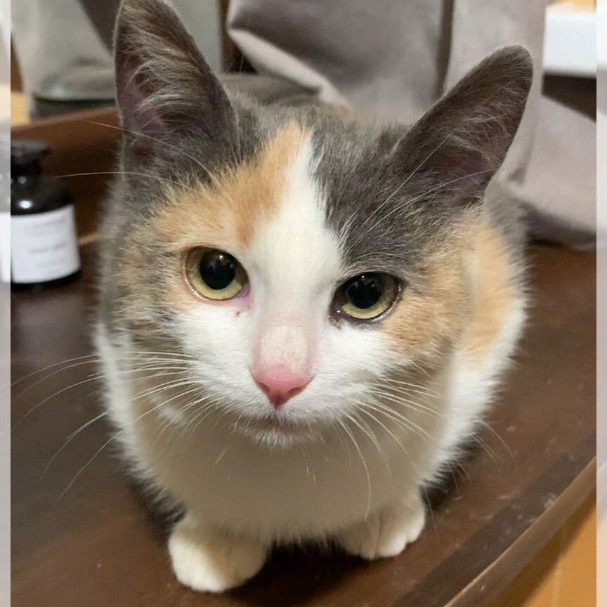 Малышка замерзает на улице