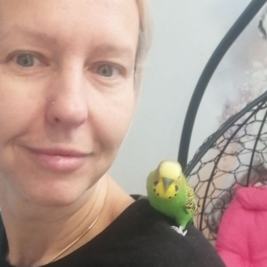 Передержка птиц