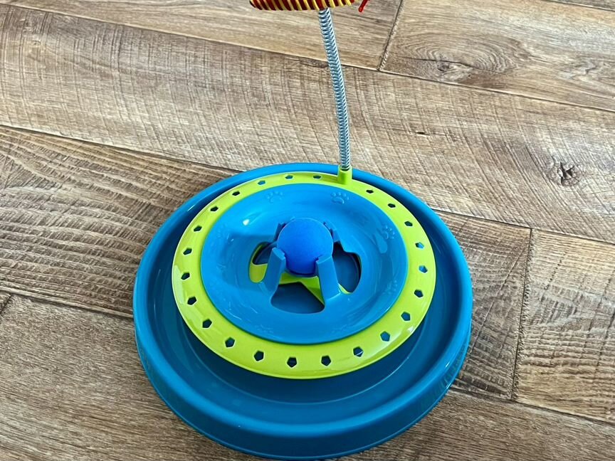 Вещи для котёнка