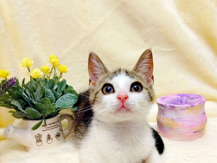Мальчик очень хочет домой