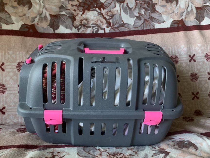 Переноска с вещами для кошки