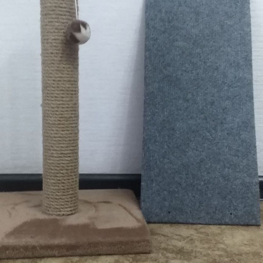 Когтеточка для кошек