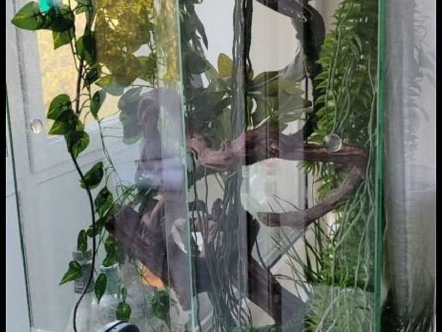 Террариум 50х30х30