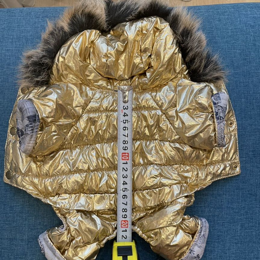 Одежда для собак