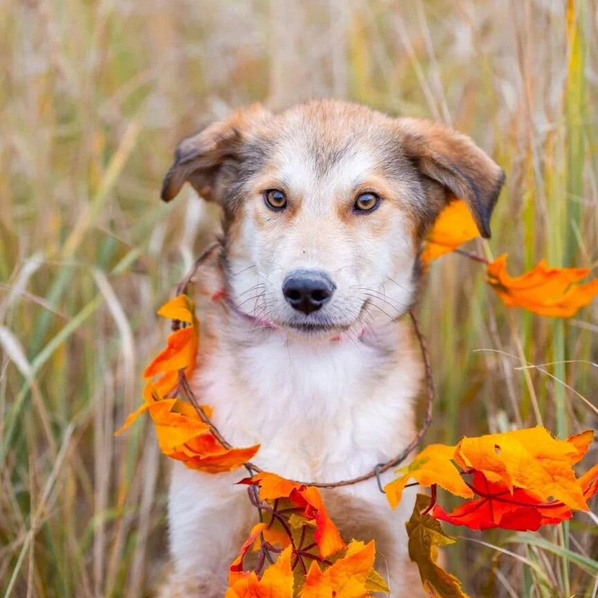 Джексону очень нужен дом