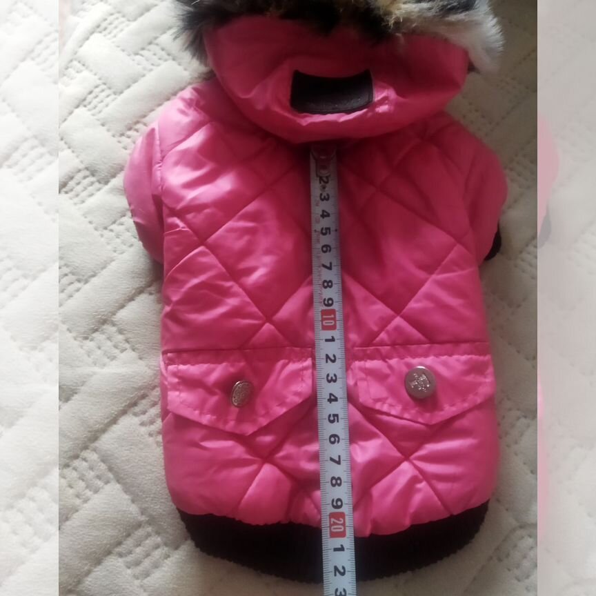 Одежда для маленьких собак