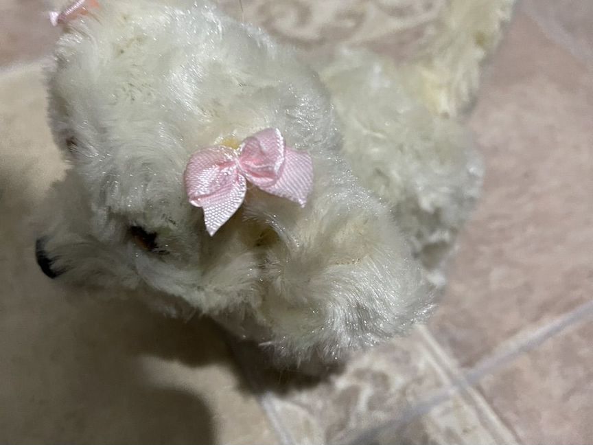 Интерактивная собака