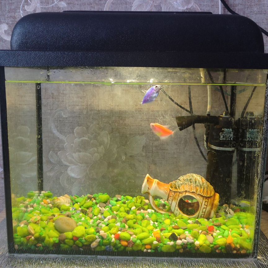 Аквариум 25л с рыбками сачок
