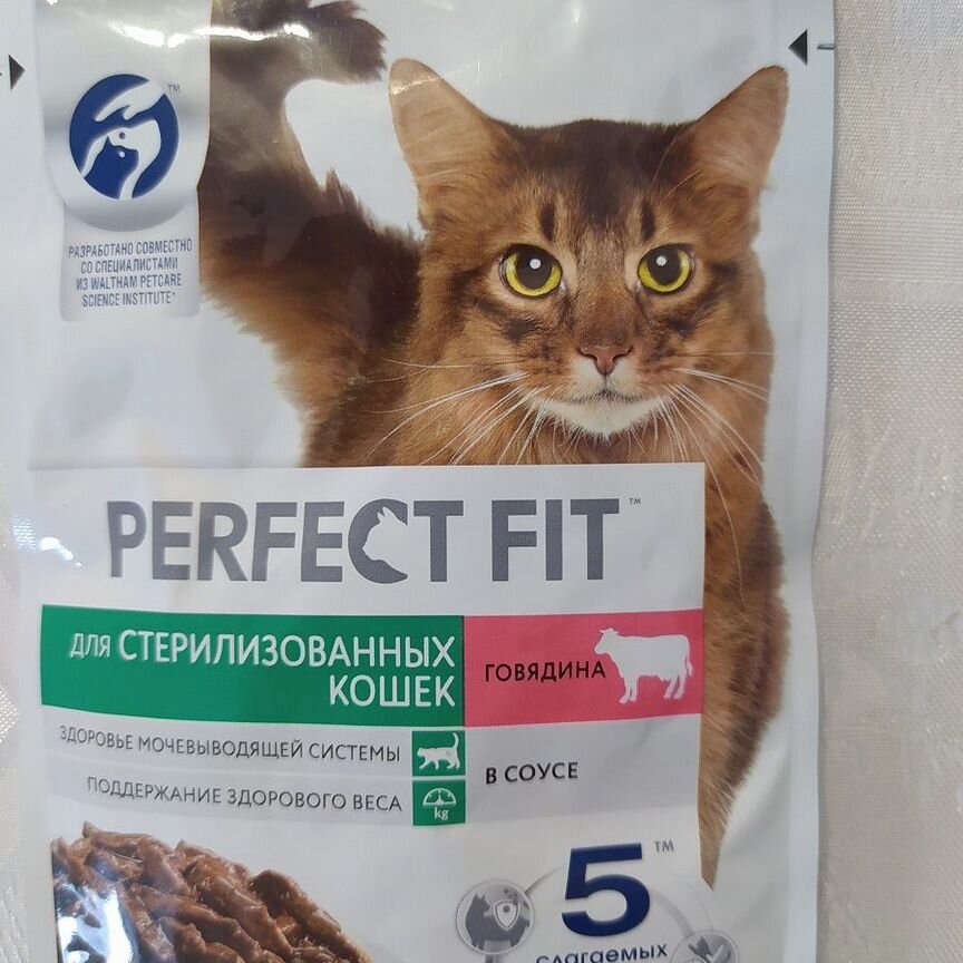 Корм для кошки