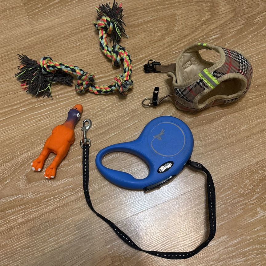 Рулетка для собак flexi