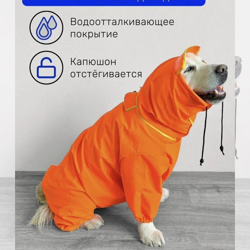 Дождевик для средних собак