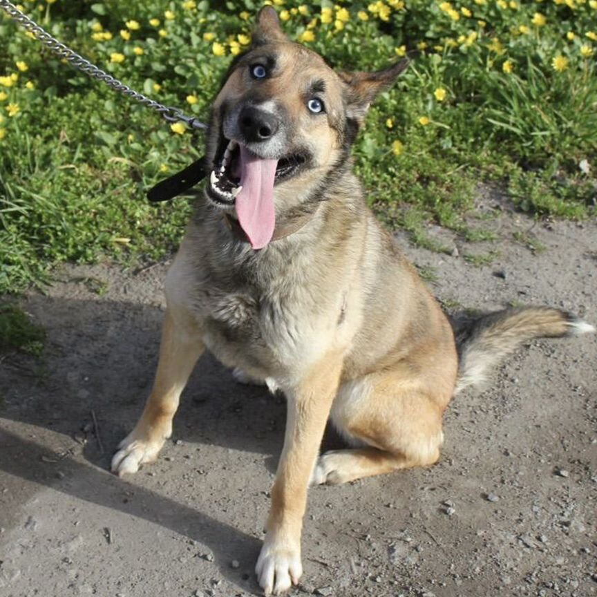 Девочка с красивыми глазами