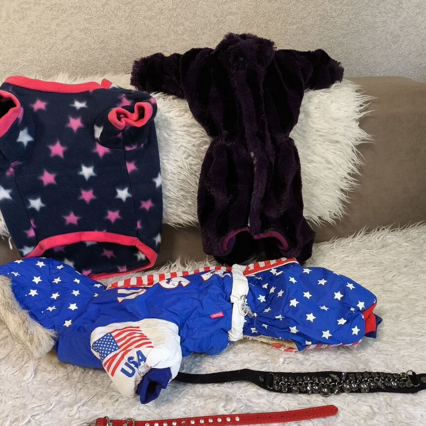 Пакет вещей зимний для маленьких собак