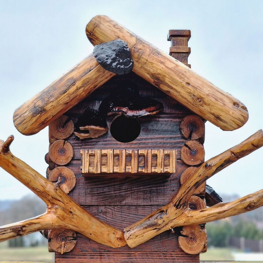 Бельчатник, дуплянка