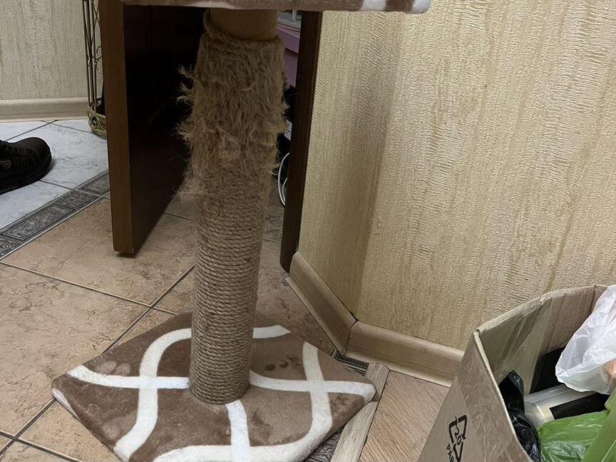 Когтеточка бу