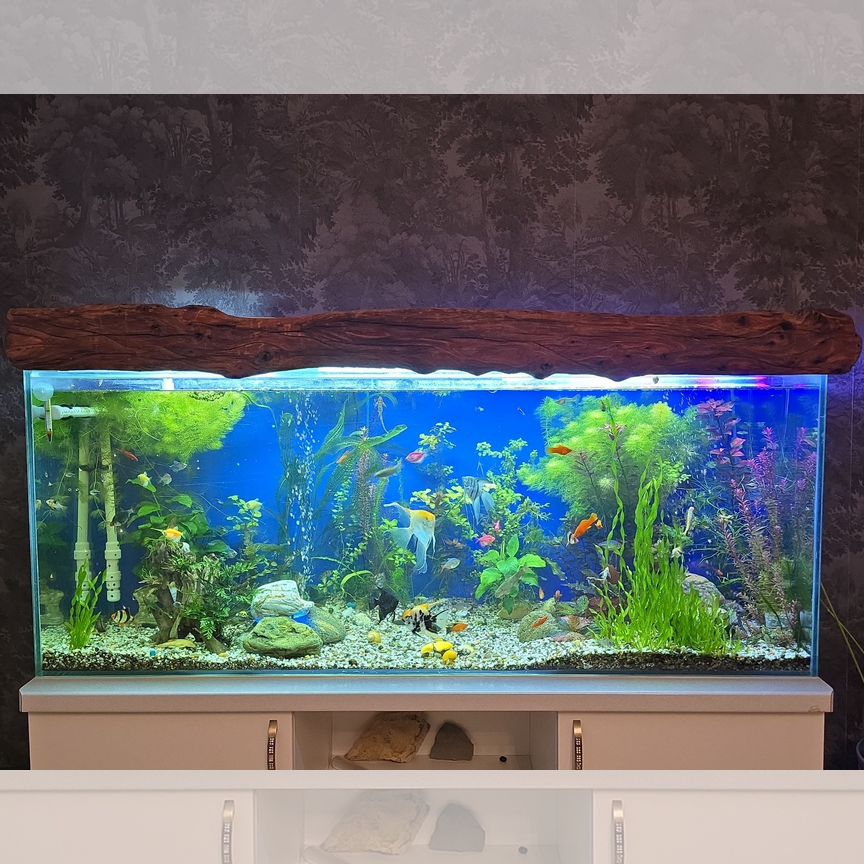 Украшение для аквариума