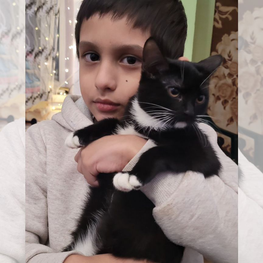 Котёнок в добрые руки