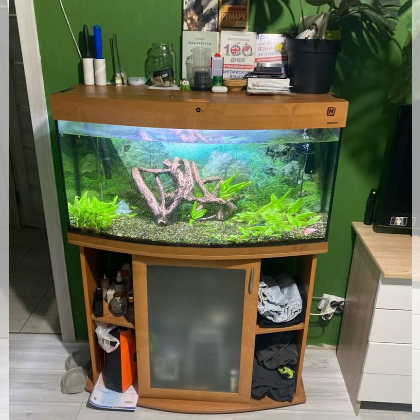 Аквариум с тумбой на 250 литров