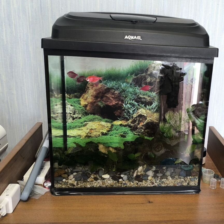 Аквариум