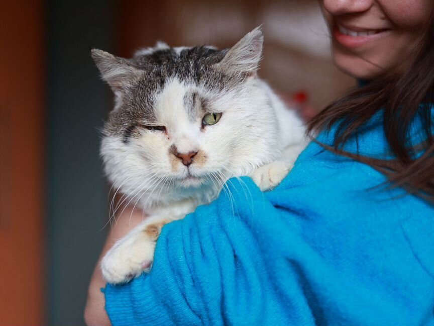 Спасите Беляшика