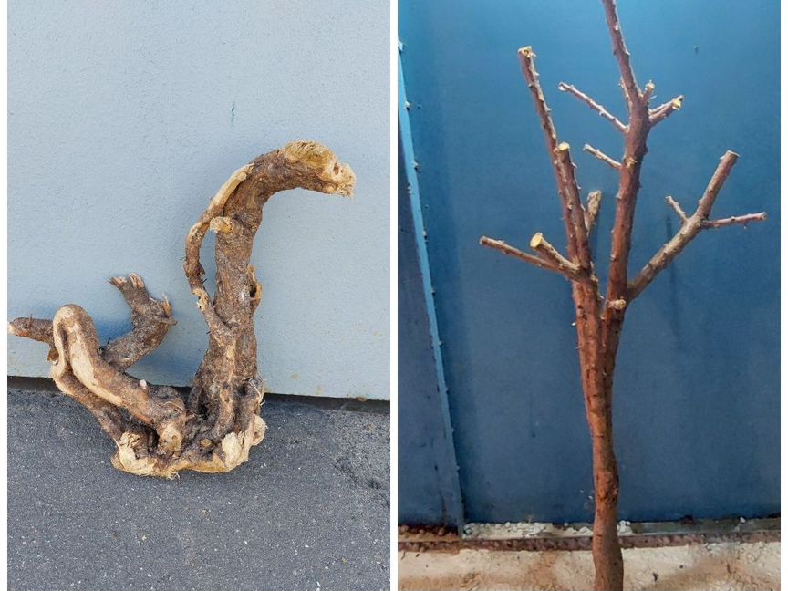 Коряги для аквариума террариума и интерьера