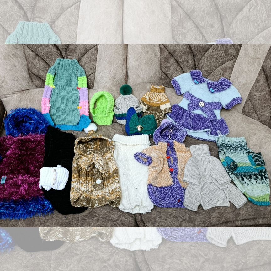 Вязаная одежда для маленьких собак