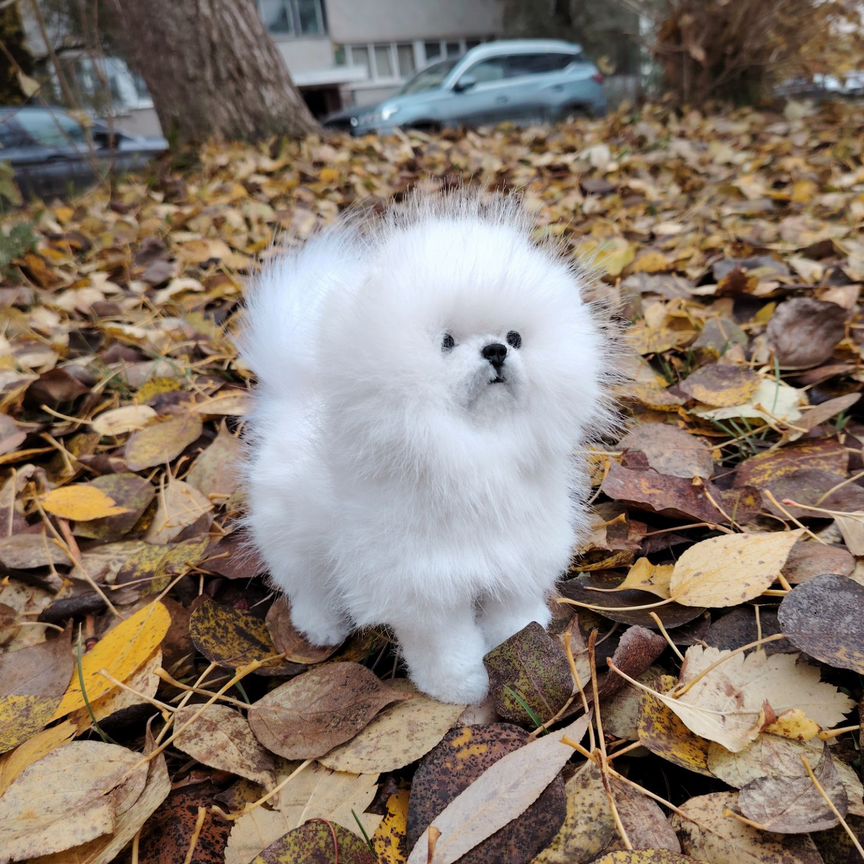 Шпиц карликовый, игрушка