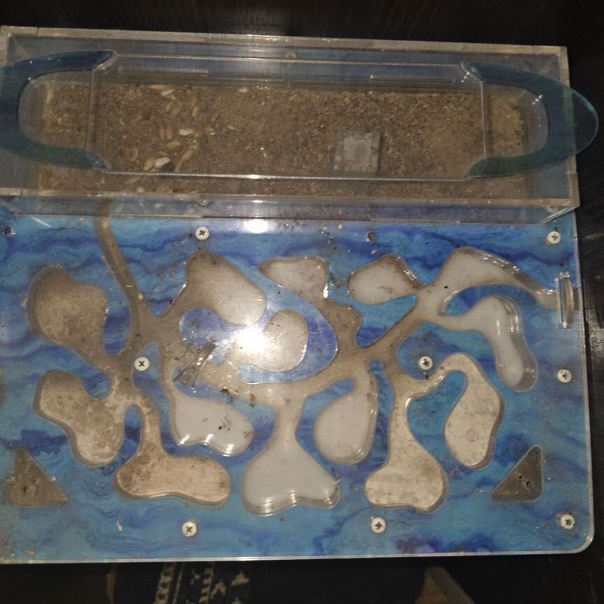 Формикарий для муравьев