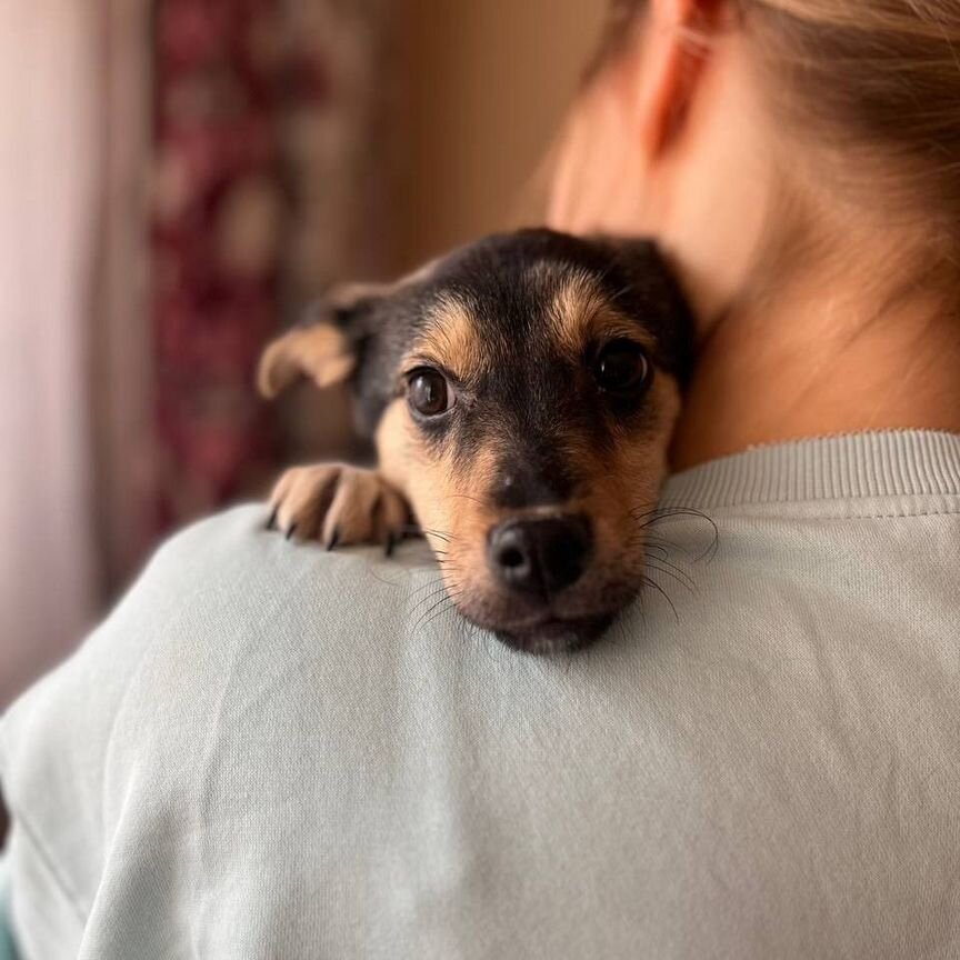 Малютка ждет свою семью