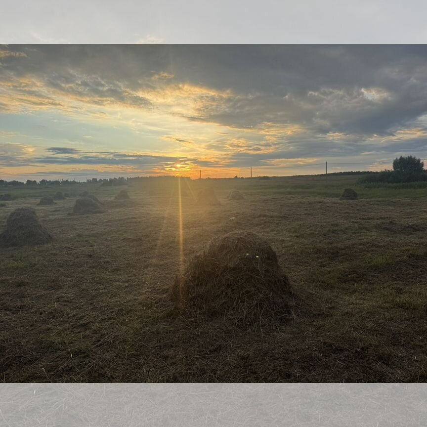 Сено